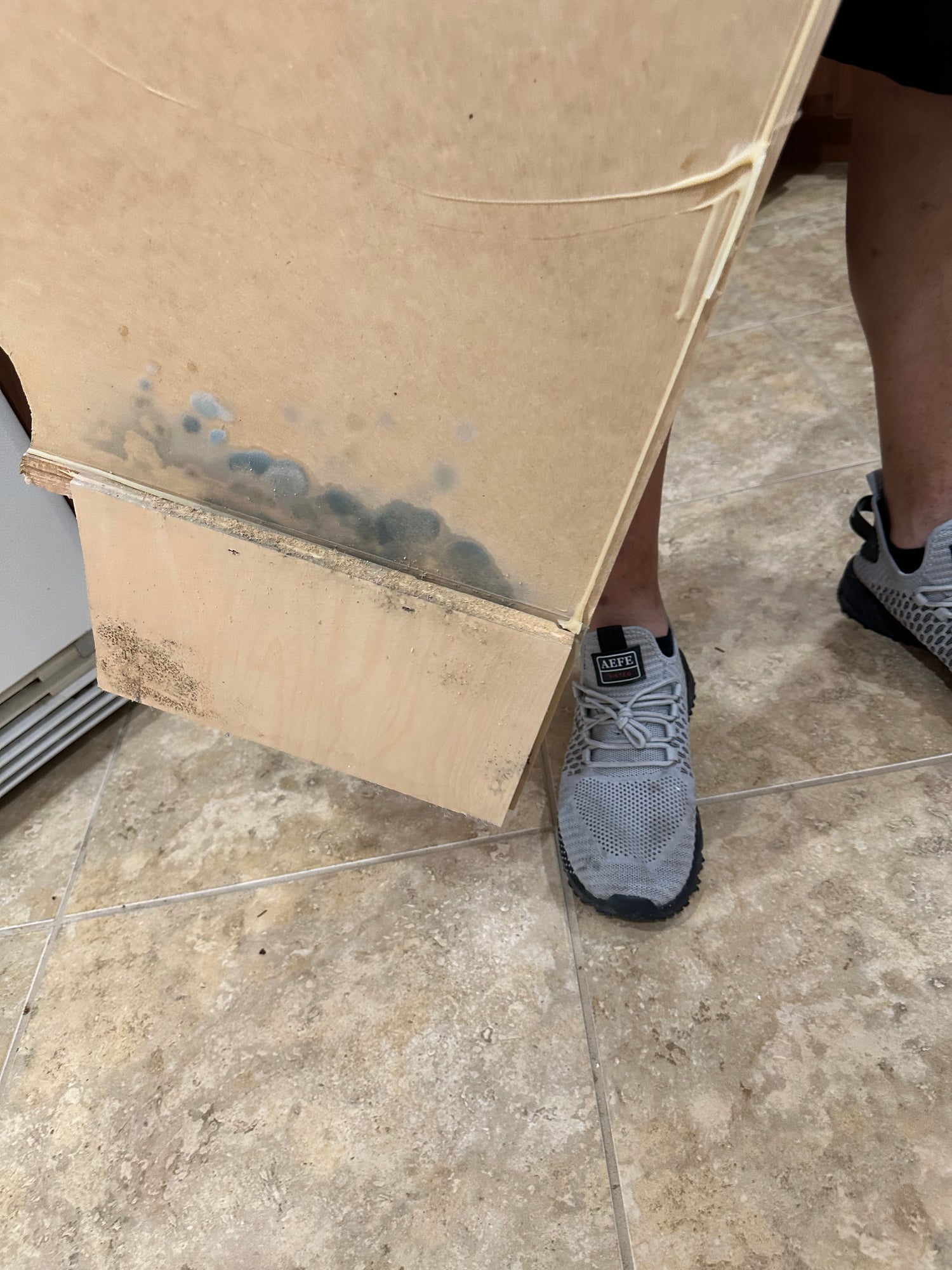 The Mold Guys